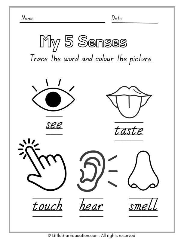 5 Senses Science Worksheet