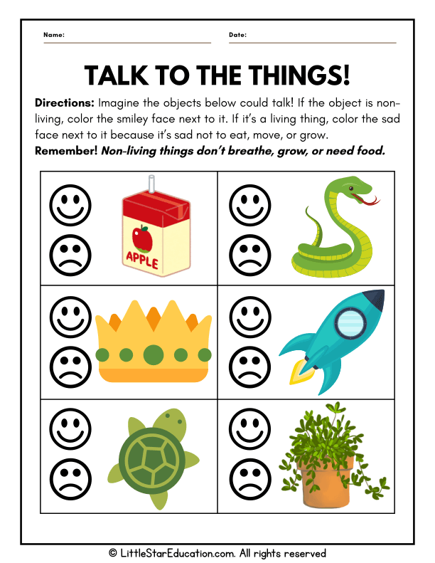 Living vs Non-Living Things Sorting