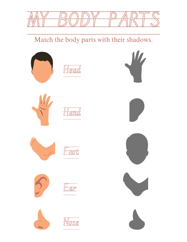 My Body Parts Pink White English Vocabulary