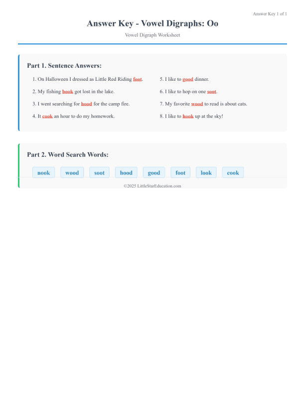 Vowel Digraph Oo Phonics Reading Worksheet